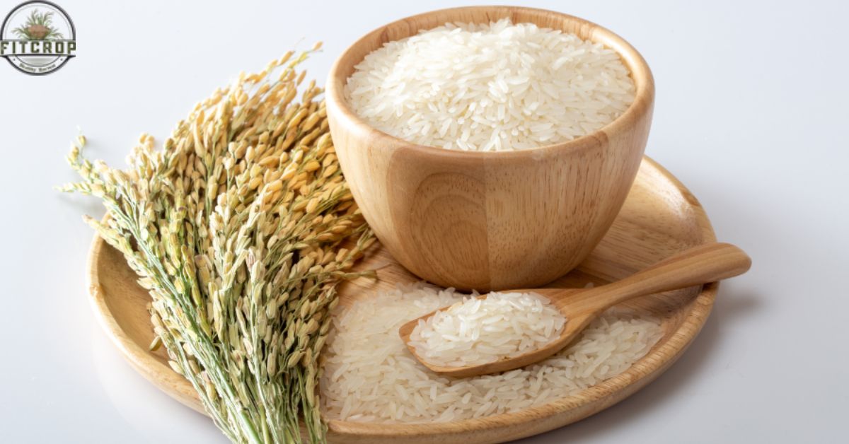 FitCrop – Lab-Certified Low GI Rice (Hyderabad, India) | Free Delivery